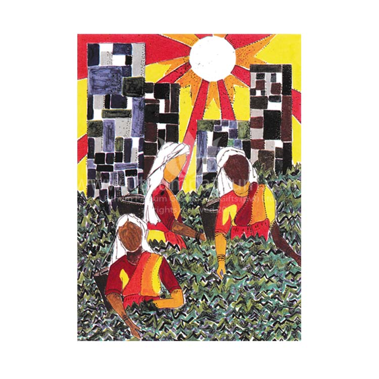 Collection | Uthum Pathum